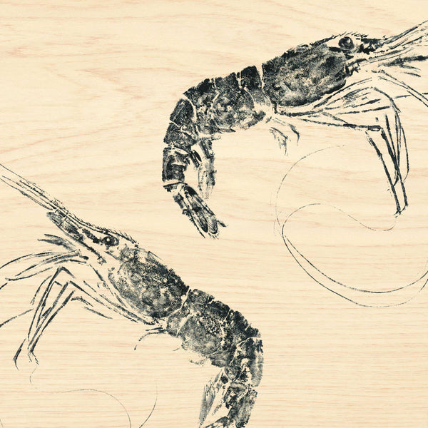 Side Stripe Shrimp - By Land By Sea By Air